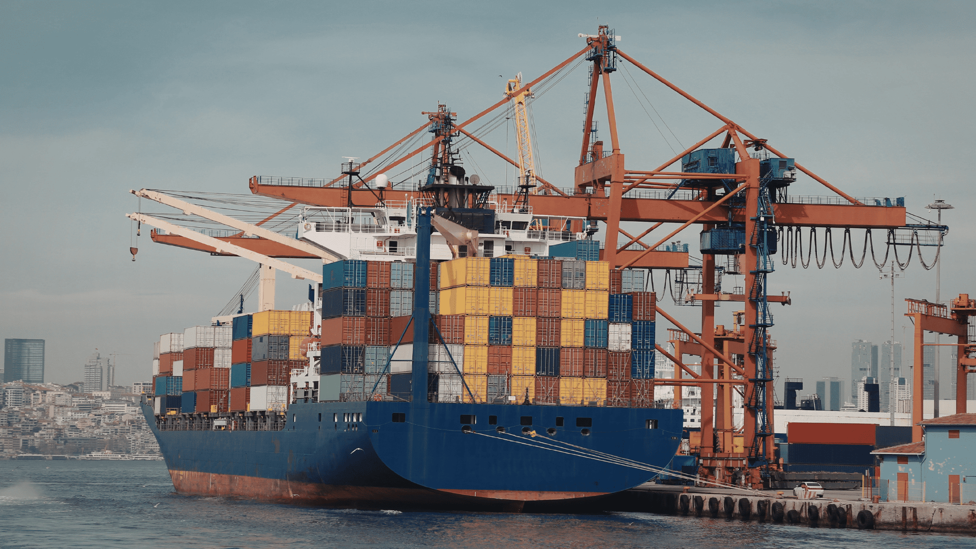 Duty Deferment - Import export declaration solution